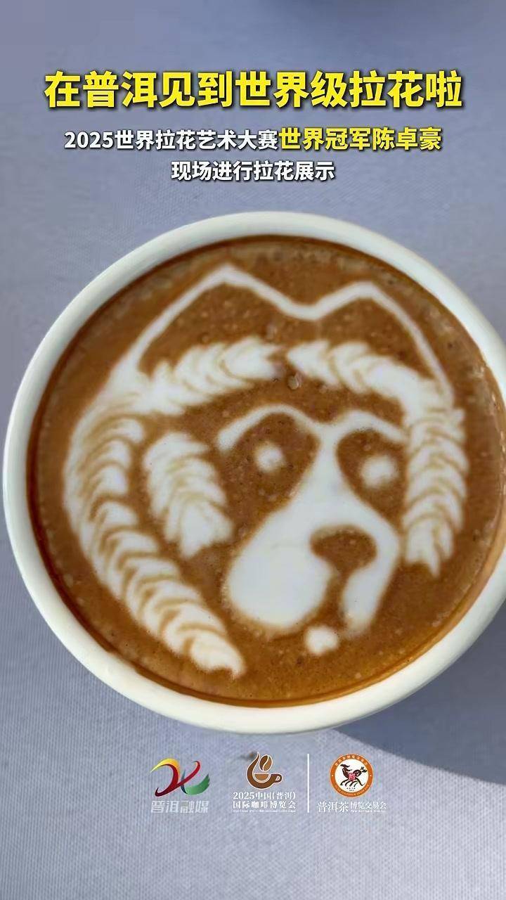 2025世界拉花艺术大赛世界冠军陈卓豪现场进行拉花展示#中国茶咖香...