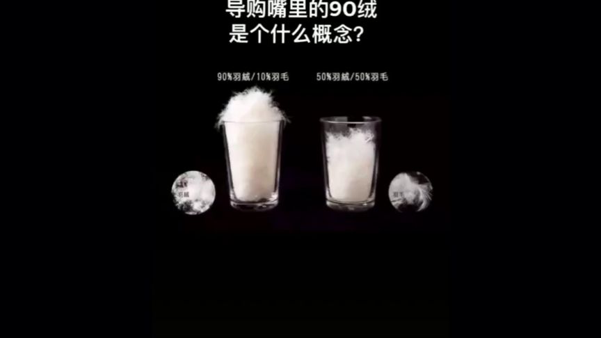 买羽绒服不得不知的概念