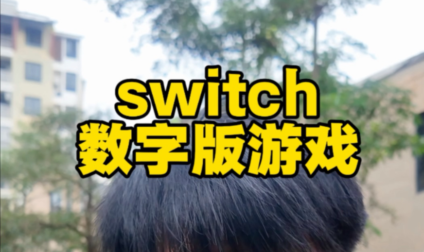 switch数字版游戏怎么买_游戏杂谈