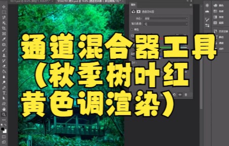 【ps教程】PS修图 夏天绿叶变秋天黄色叶子的方法,这个方法很好地...