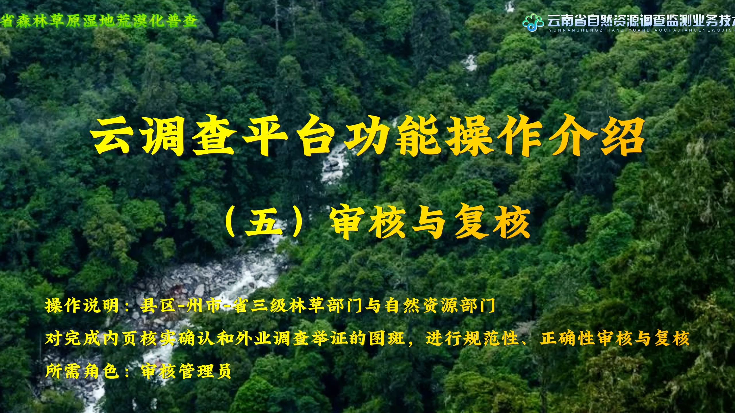 (五)审核与复核