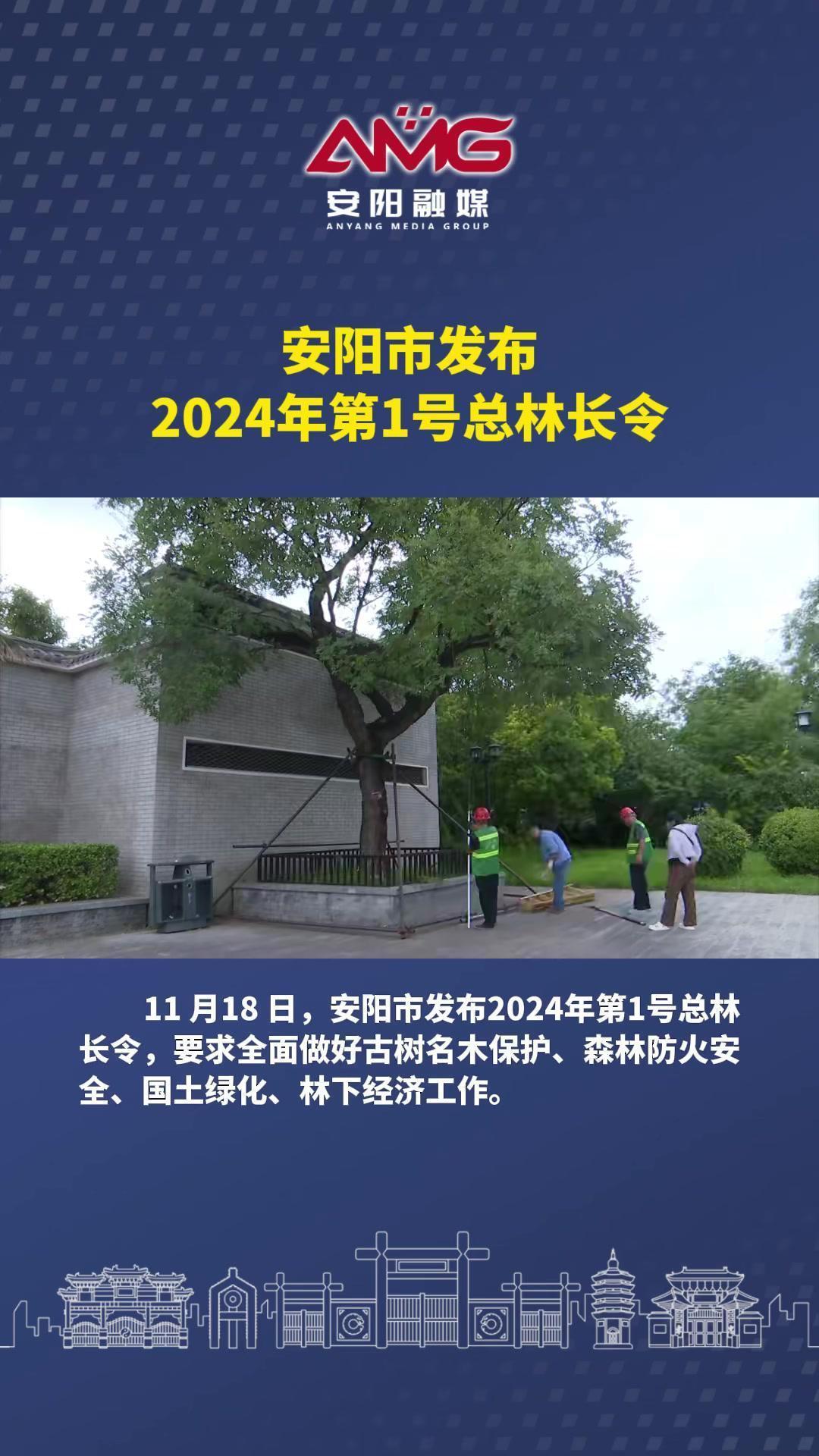 ...推深做实林长制以“林长制”促“林长治”#安阳市(记者:薛杨编辑:...