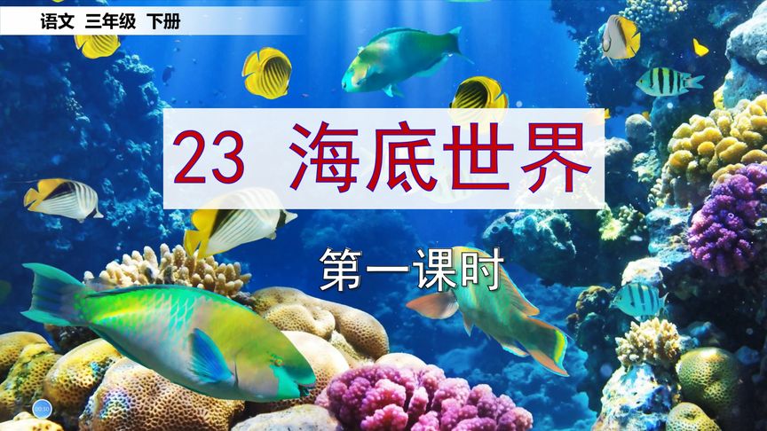 三年级下册语文《23.海底世界》第一课时 #学浪计划#