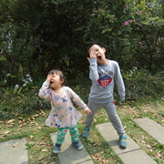 云之小翼 