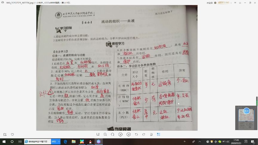 第四章导学案答案