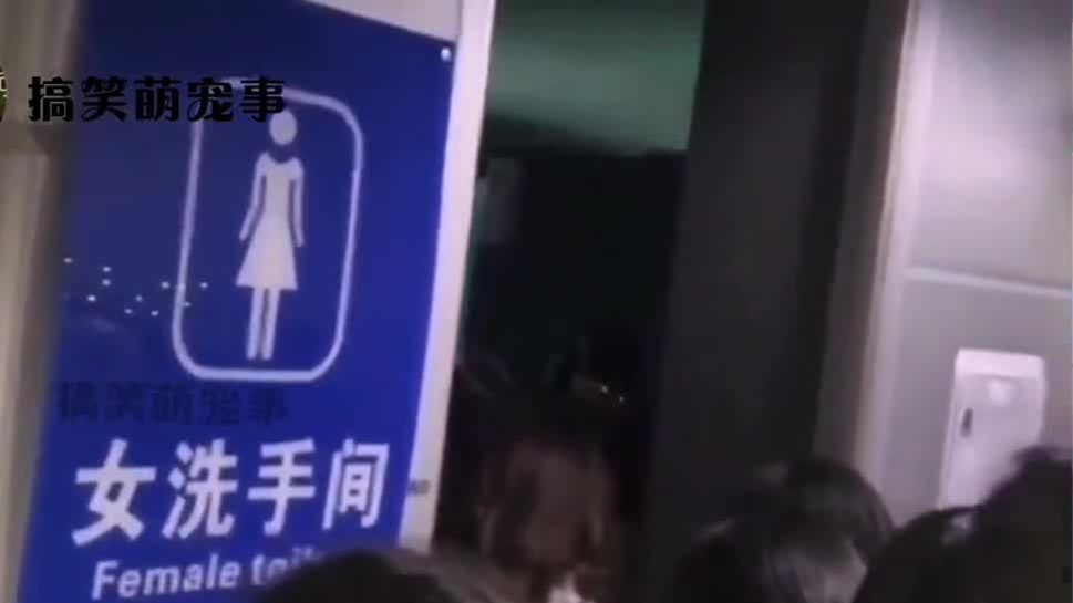 搞笑:本来今天就跑肚拉稀,一到厕所我就懵圈了,男厕所.