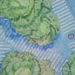 我不是阿仔 
