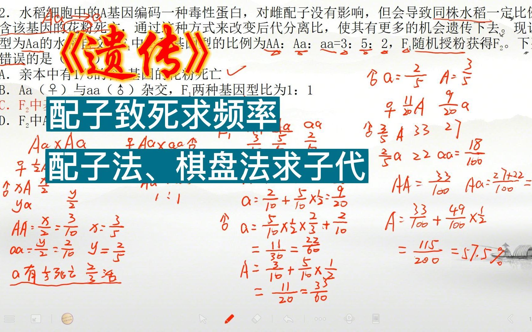 遗传-配子致死求子代