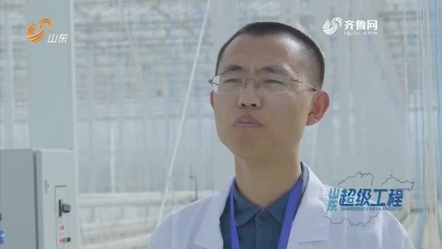 将在沙漠戈壁中长出植物?山东推进超级工程 突破农作物极限生长