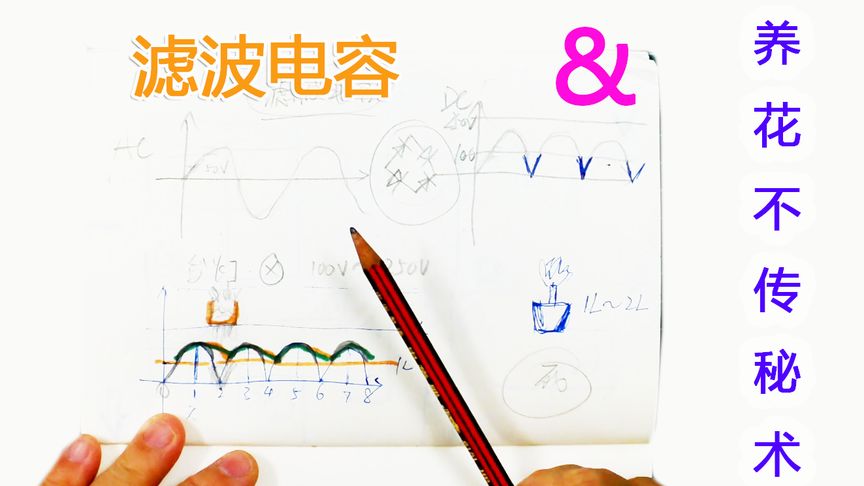 第21期 01电子:什么是滤波电容,不会养花的UP主不是好老师