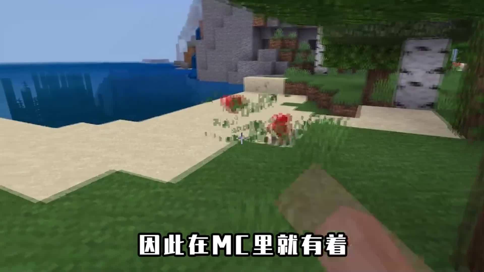 只能指令生成的方块,屏障上榜,结构方块搬家超好用