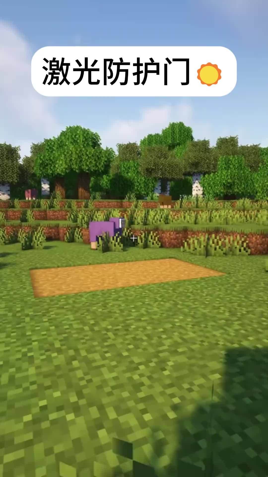 我的世界激光防护门
