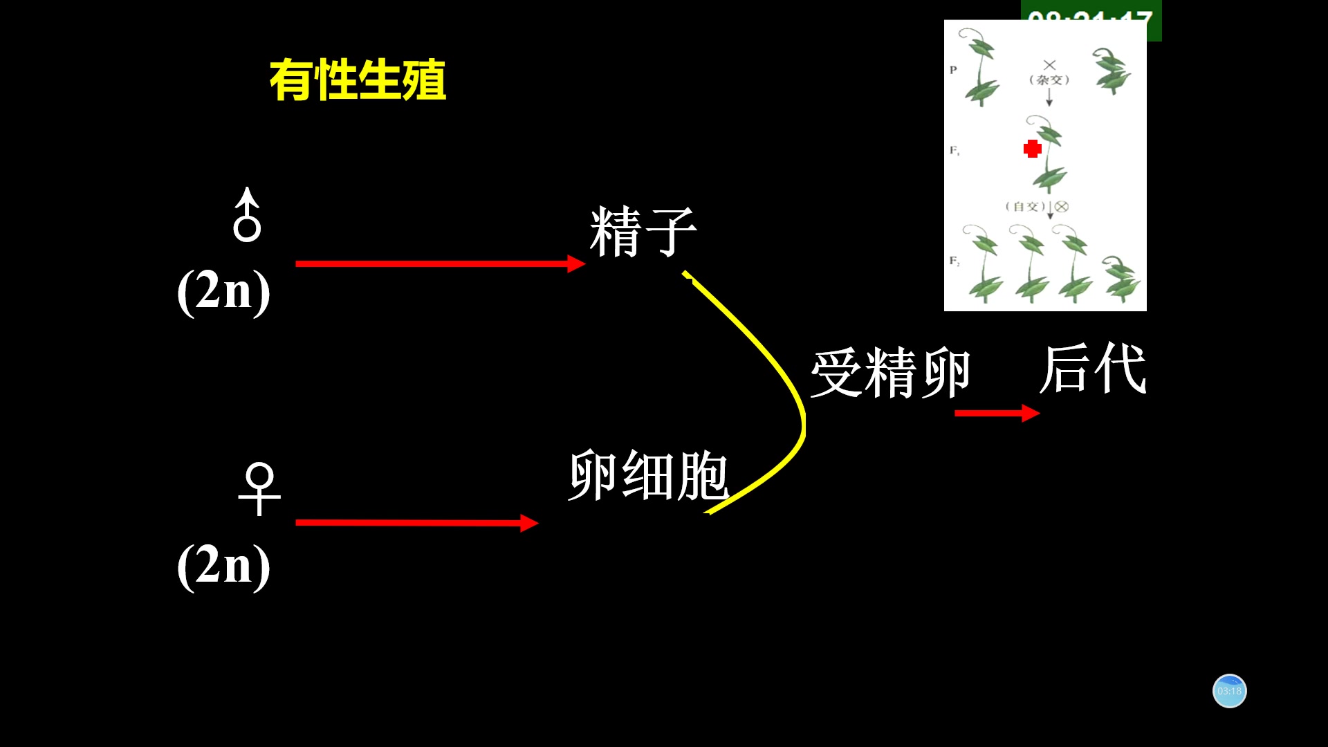 娄底一中2020高一3.16-3.18