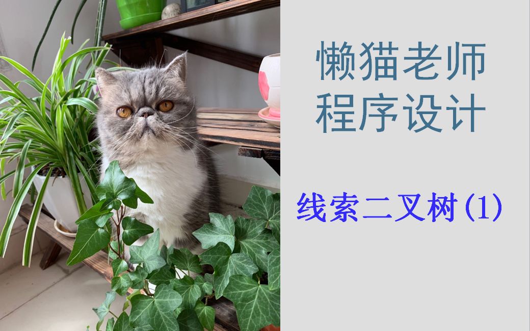 懒猫老师-数据结构-(31)线索二叉树1(线索链表,二叉树线索化)