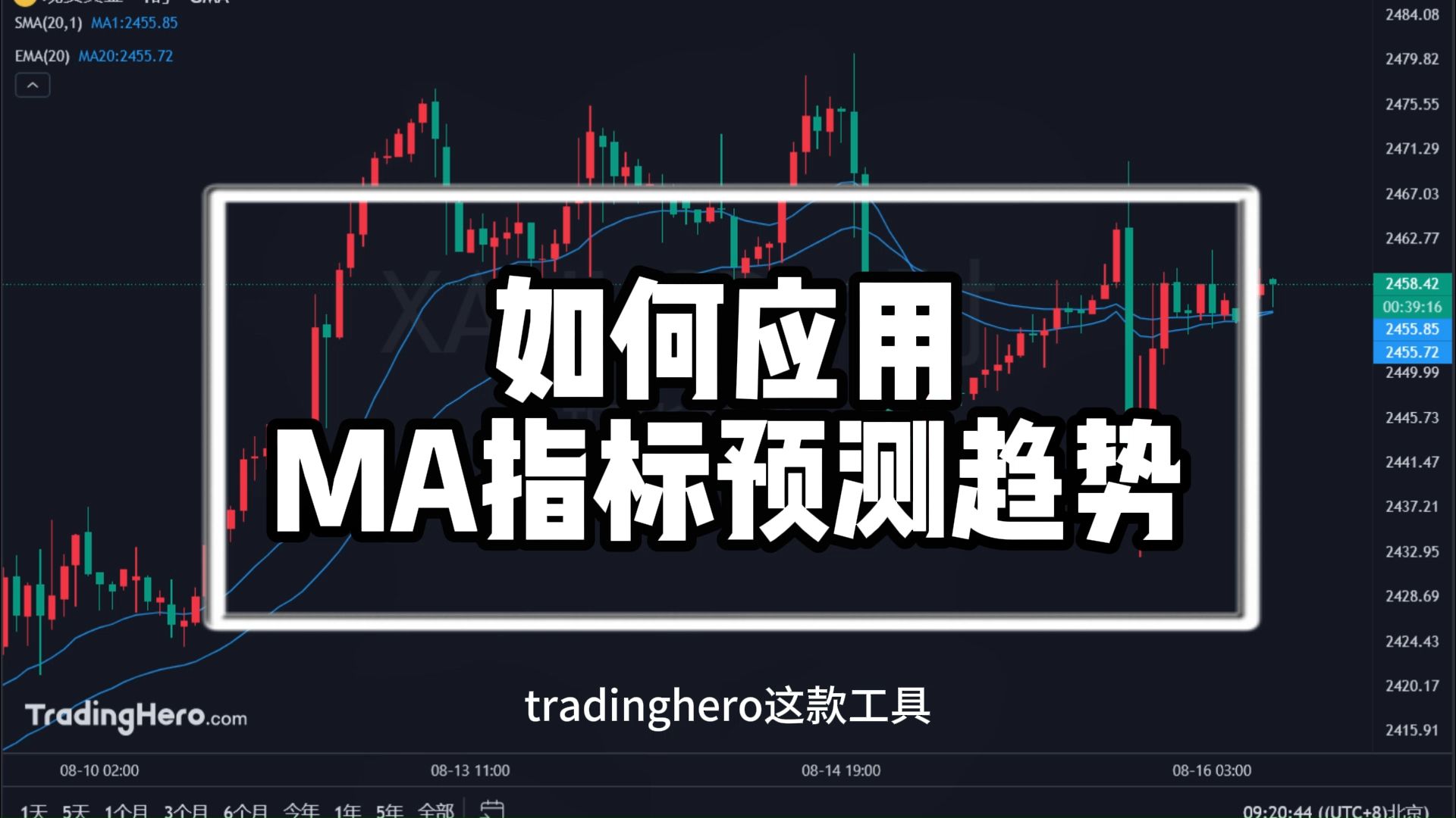 在tradinghero中,初学者应该如何通过MA指标分析基本趋势?
