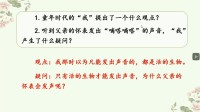 16 表里的生物 第二课时