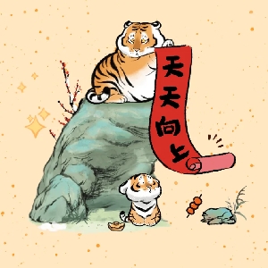正经茶油 