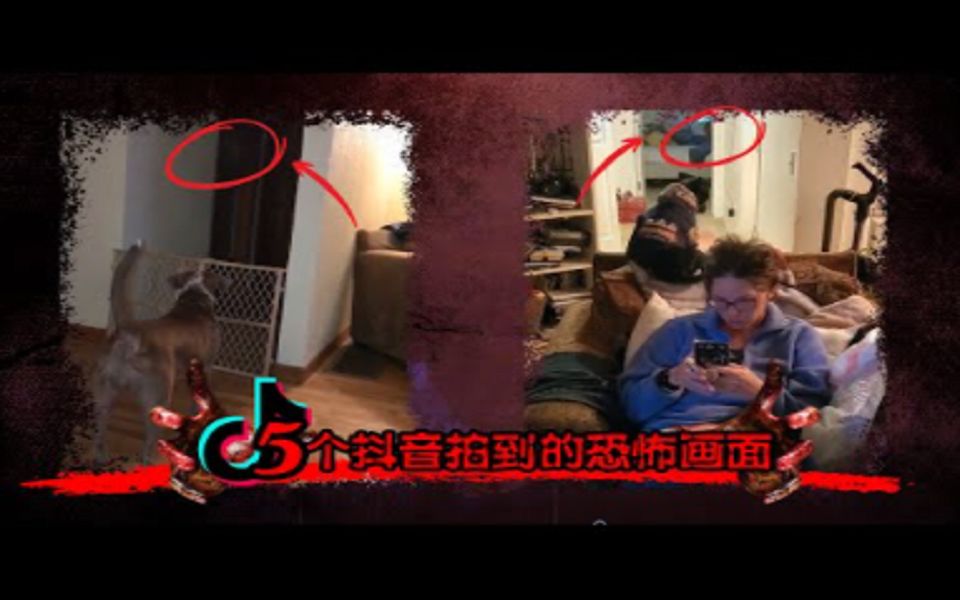 抖音里的恐怖画面【胆小慎入】