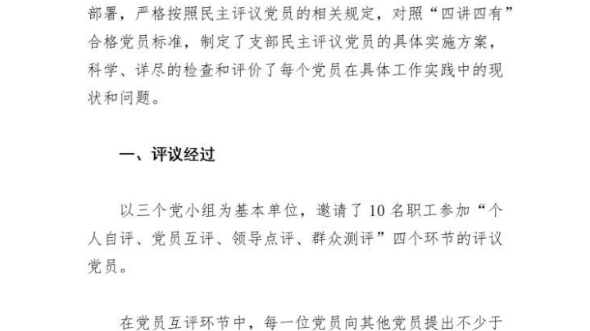 2018年度民主评议党员报告