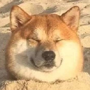 䥩蠐蠐 