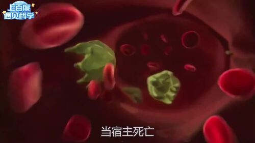抗癌新策略:模拟生命终结激活肿瘤细胞凋亡程序
