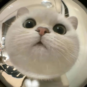 小尾巴winkyjae 