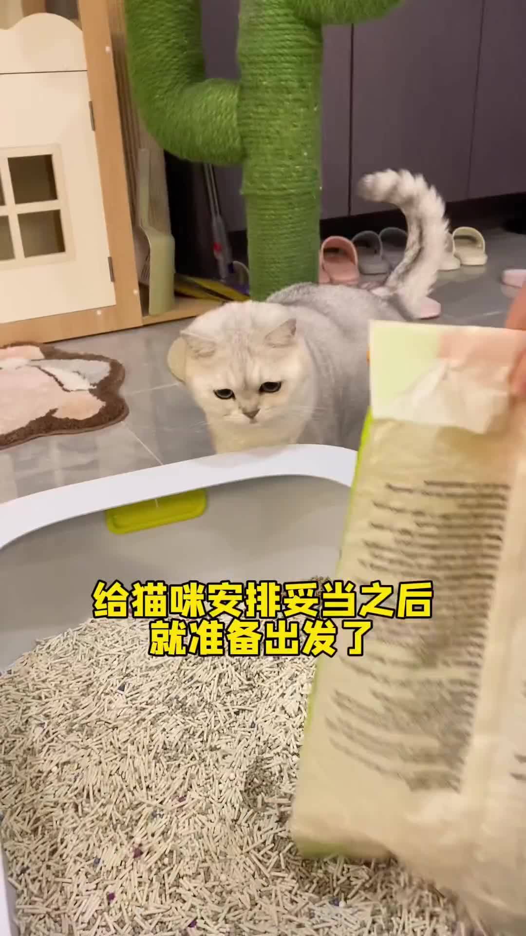 最后急得我竟然把楼道感应灯都喊亮了……