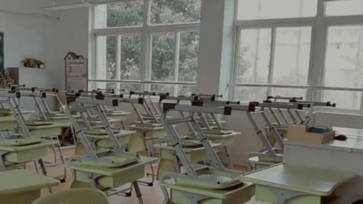 上海中小学上网课进入第2周 线上教学质量不打折
