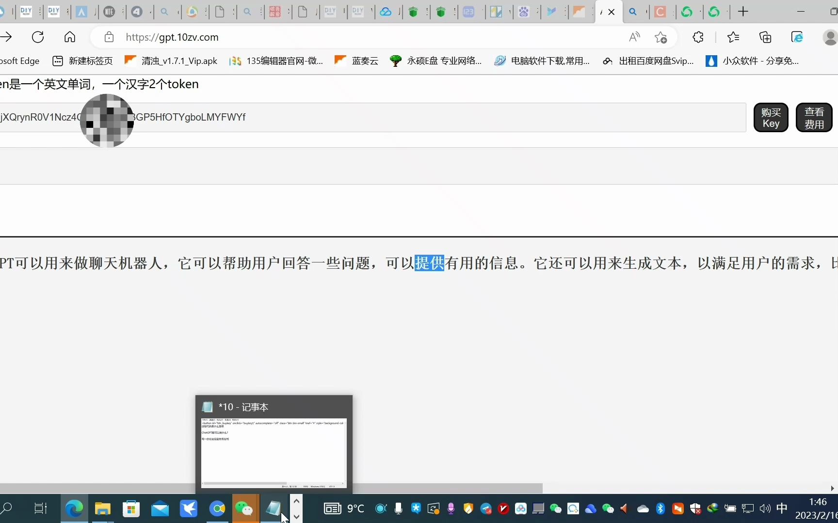 ChatGPT服务器WEB端演示视频