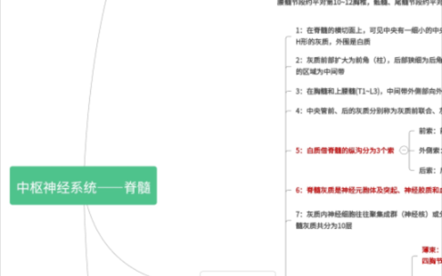 中枢神经系统——脊髓(超细大纲)