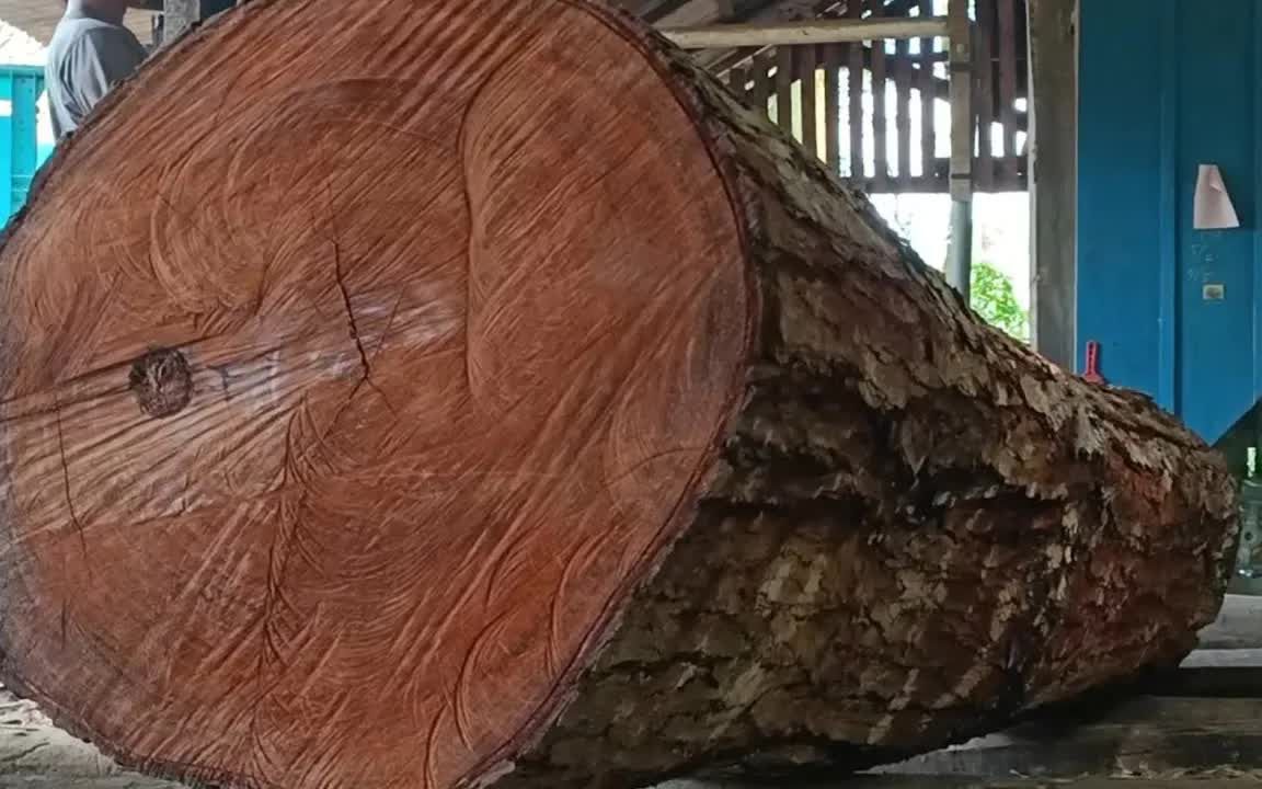 这是一种红色的木材,非常适合制作刨花板