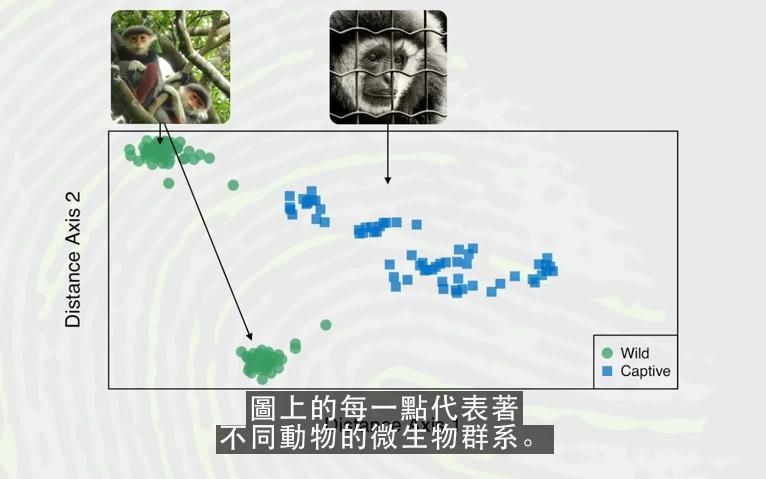 我们如何研究生活在肠道中的微生物【自制字幕】【Dan Knights】