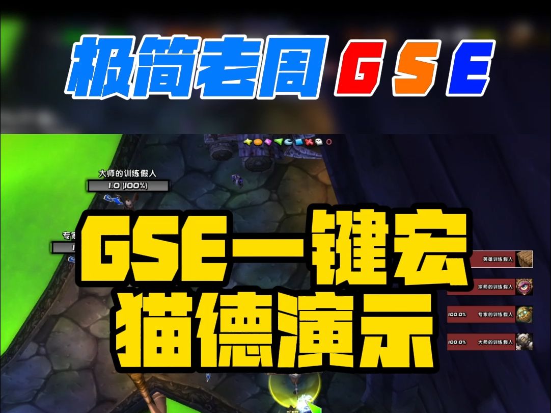魔兽世界巫妖王TOC版本无损猫德GSE一键宏演示