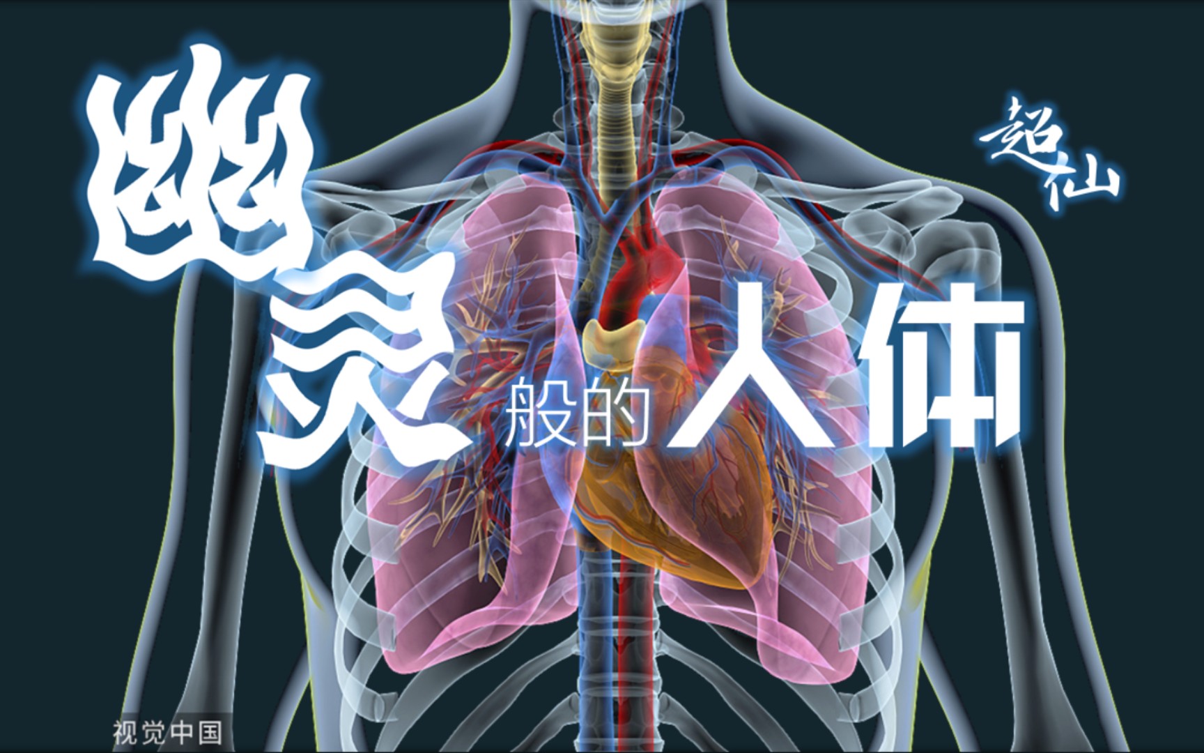宁可备之不用,不可用之无备,已为你备好