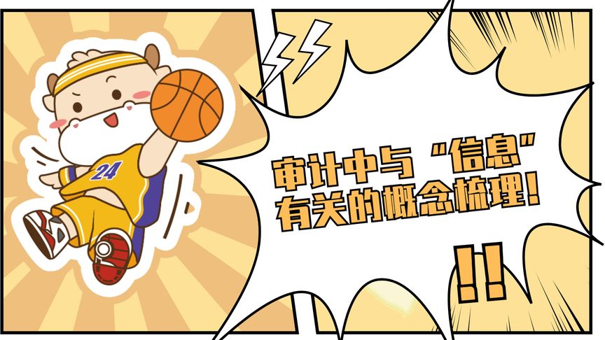 注会CPA审计:审计中与“信息”有关的概念梳理!