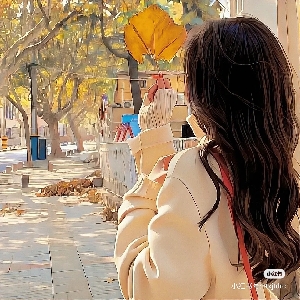 湾湾律 