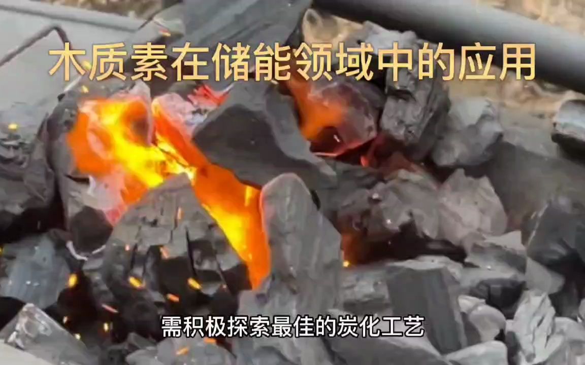 木质素在储能领域中的应用