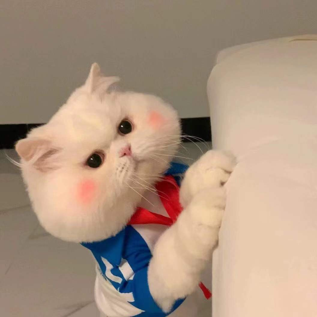 毕业生分配 