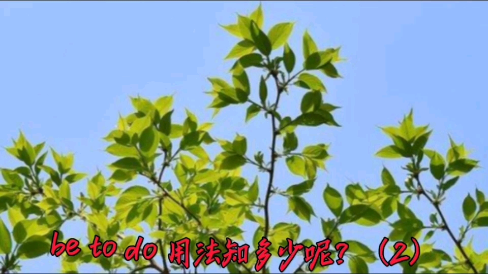 be to do 用法知多少呢?(2)