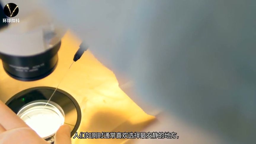 公共场合马桶该怎么坐?最角落的厕位最不卫生。