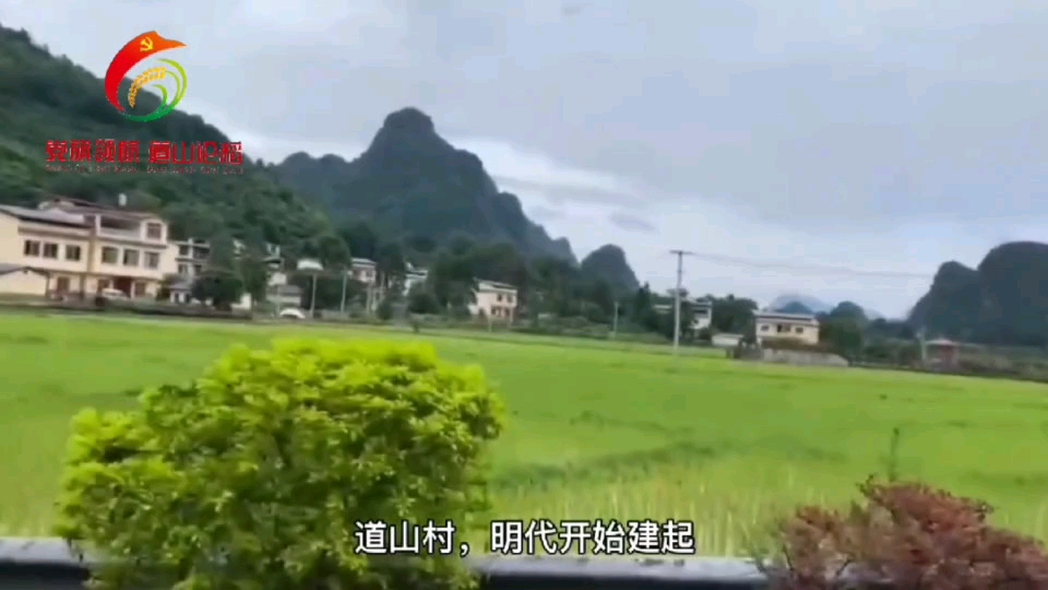 阳朔道山村数字化品牌形象IP塑造——稻作、生态、孝德、耕读