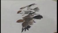 水墨画梅花教学视频水墨画风景教学视频