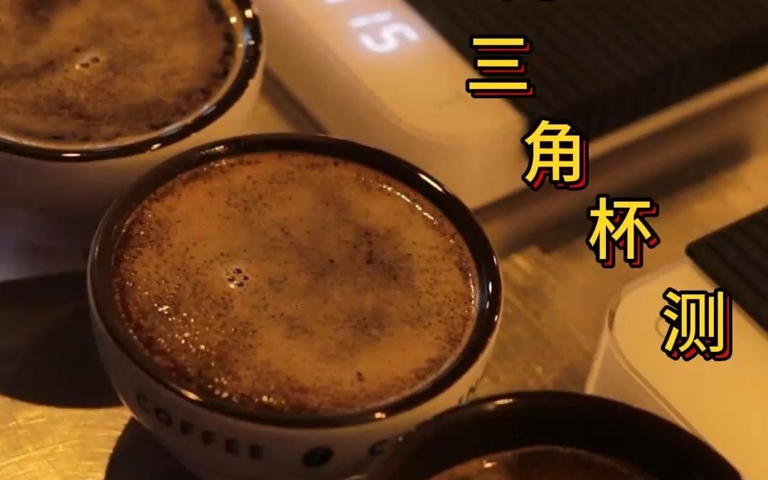 咖啡师的vlog|考验感官的能力 咖啡的三角杯测 盲猜是不是都能全中