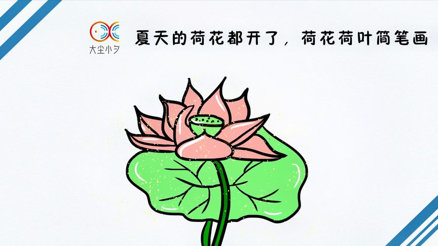 夏天的荷花都开了,教你画很简单的荷花荷叶简笔画,30秒看绘