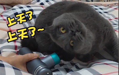 筋膜枪的正确用法?!