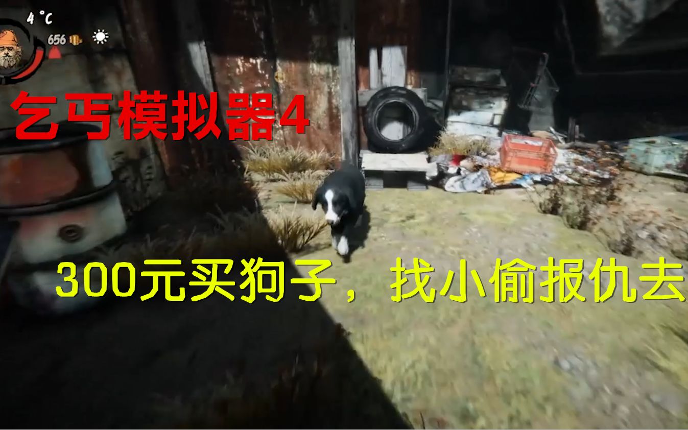 老庄解说 乞丐模拟器4:花300元买到狗子,找抢钱的小偷报仇去!