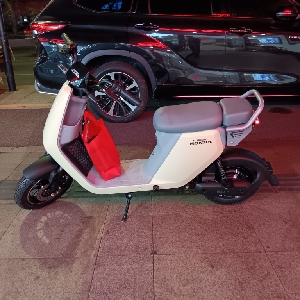 新大洲本田雷岗店 