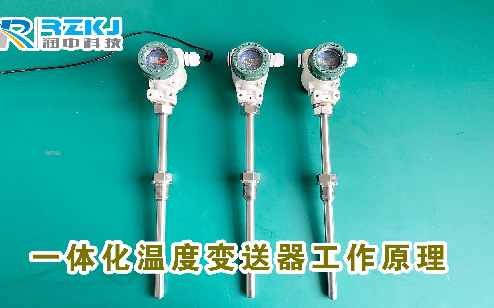 一体温度变送器的产品结构及工作原理