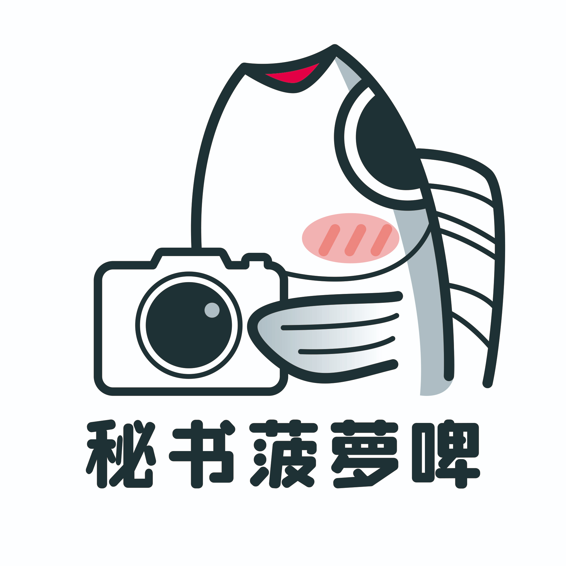 秘书菠萝啤 
