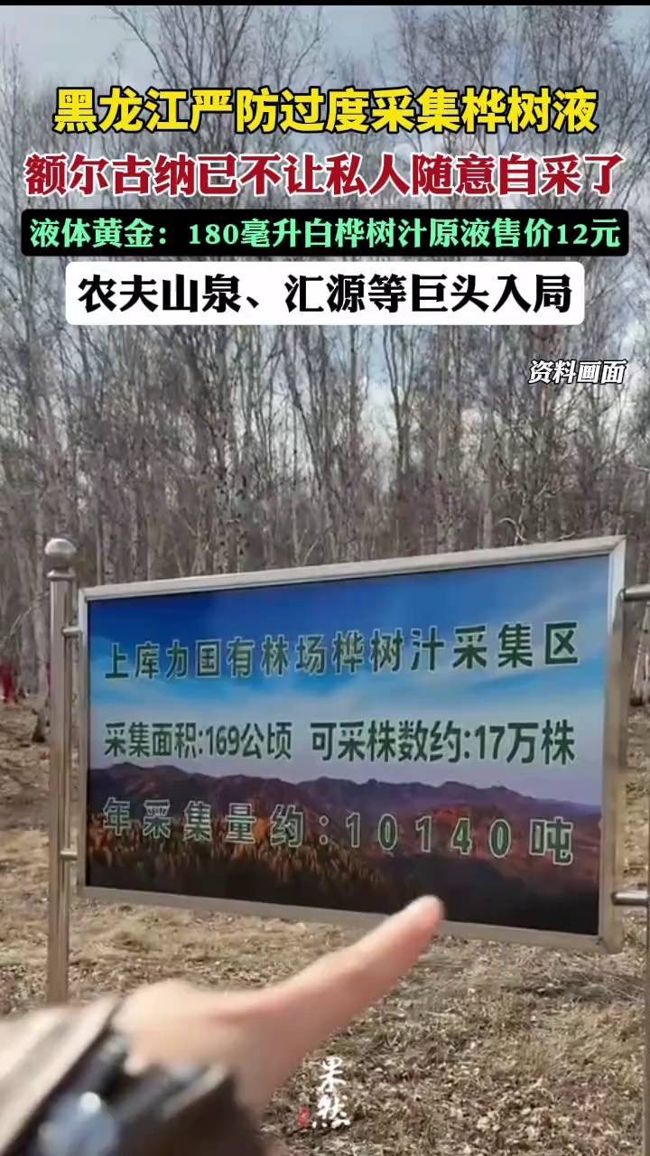 黑龙江省林业和草原局数据显示,该省白桦树面积达1000余万公顷(折算...